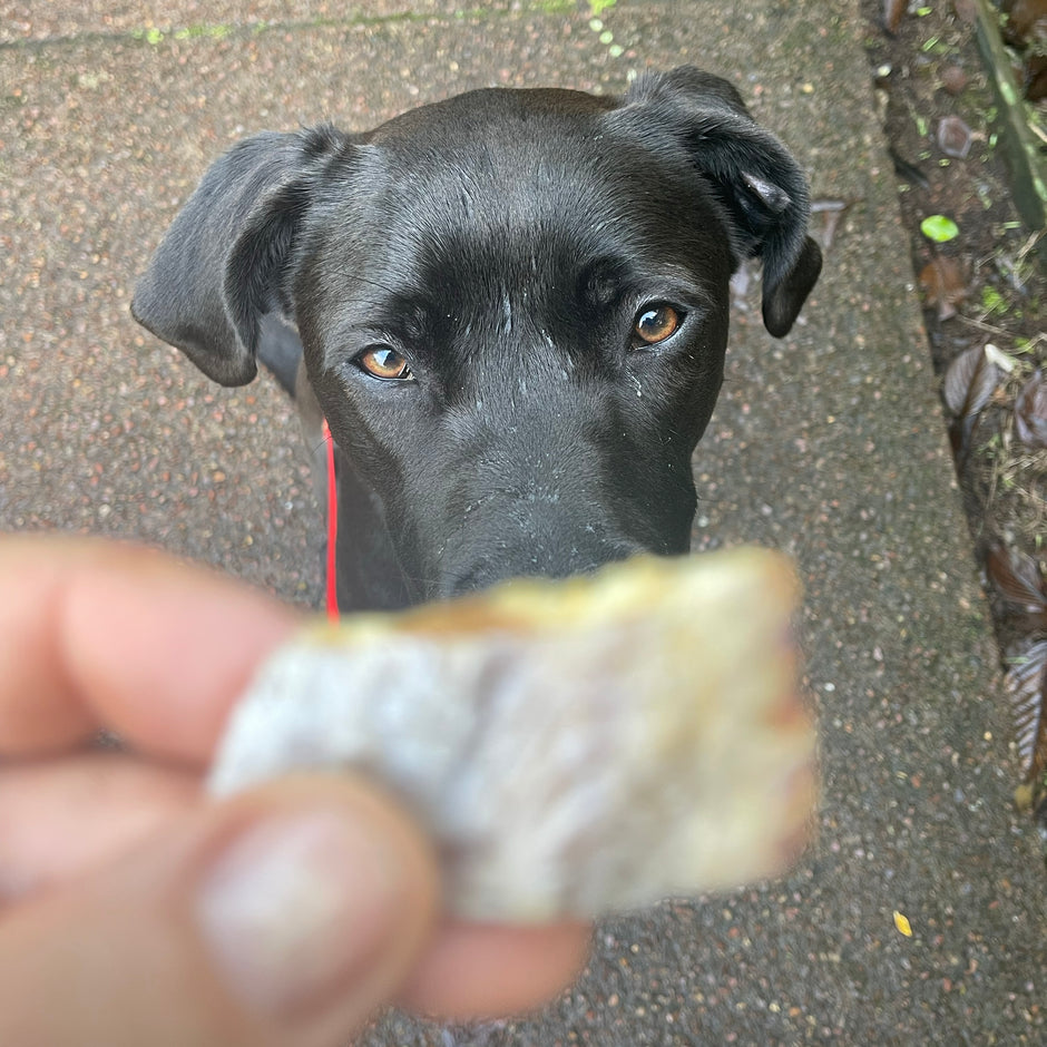 As Good As Humanly Possible | Gourmate Pet Treat Co.